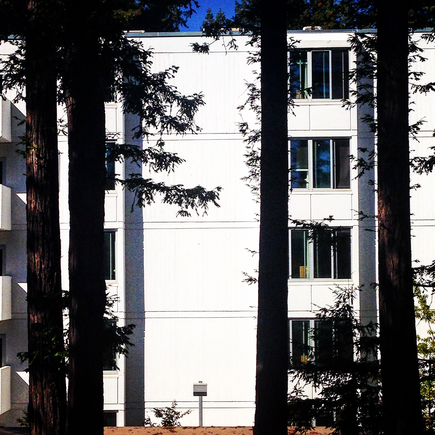 My UCSC – Catherine Sue Ramírez, PhD